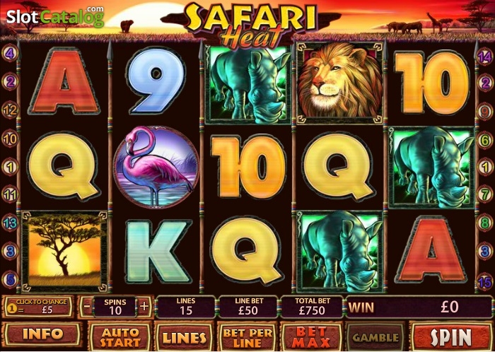 Safari Heat Game Review 2023 🏆 - RTP, Bonuses + Demo