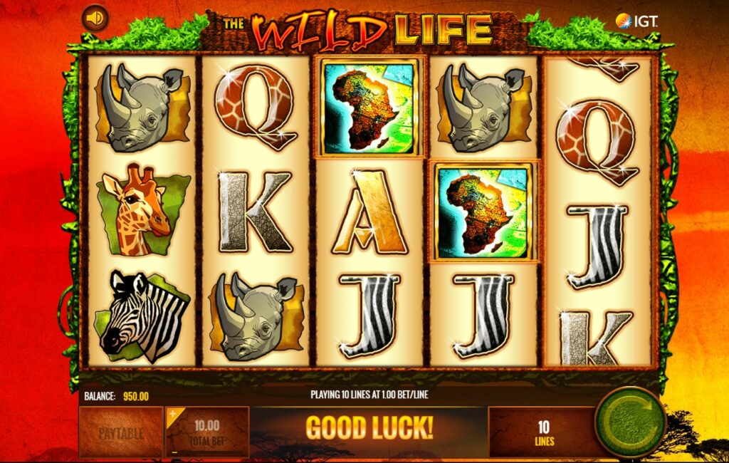 Wild Life Game Review 2024 🏆 - RTP, Bonuses + Demo