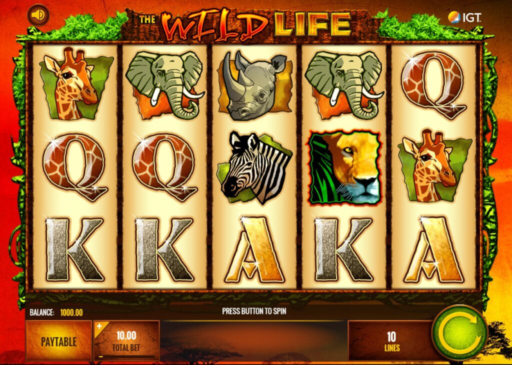 Wild Life Game Review 2024 🏆 - RTP, Bonuses + Demo