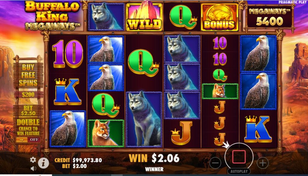 Buffalo King Megaways Game Review 2024 🏆 - RTP, Bonuses + Demo
