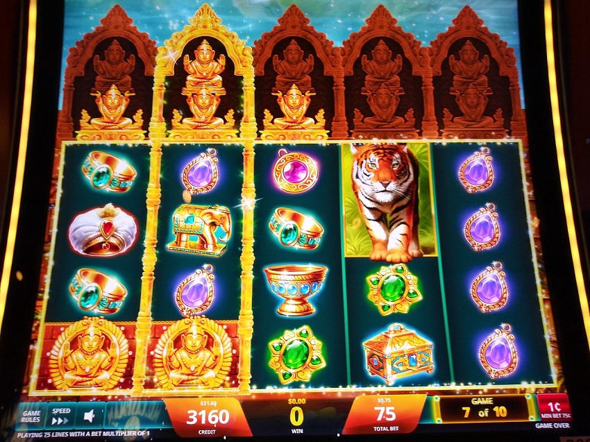 Golden Jungle Game Review 2025 🏆 - RTP, Bonuses + Demo