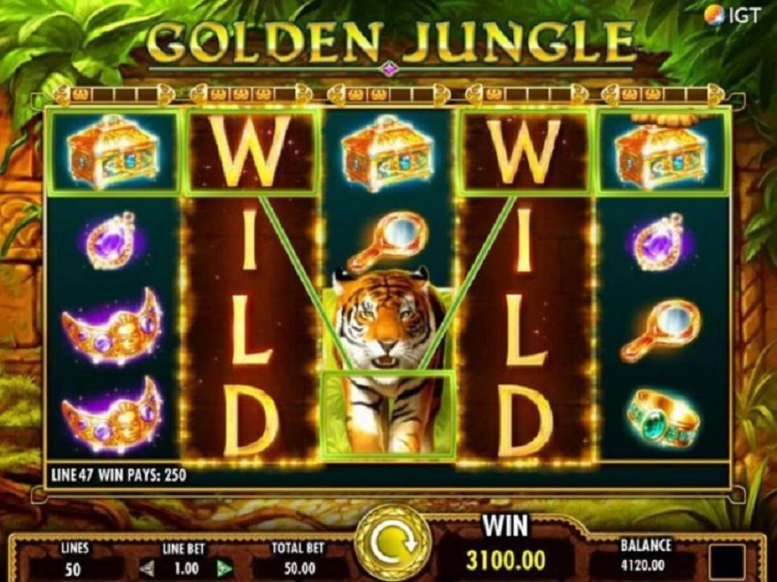 Golden Jungle Game Review 2026 🏆 - RTP, Bonuses + Demo