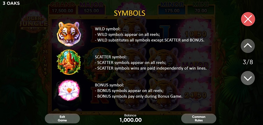 Tiger Jungle Hold and Win Game Review 2024 🏆 RTP, Bonuses + Demo